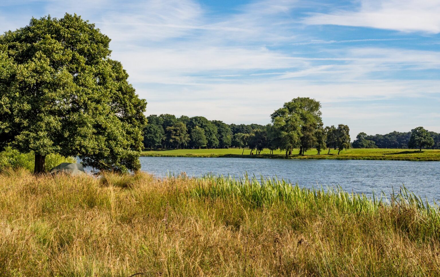 Why The Golden Triangle, Cheshire is so golden