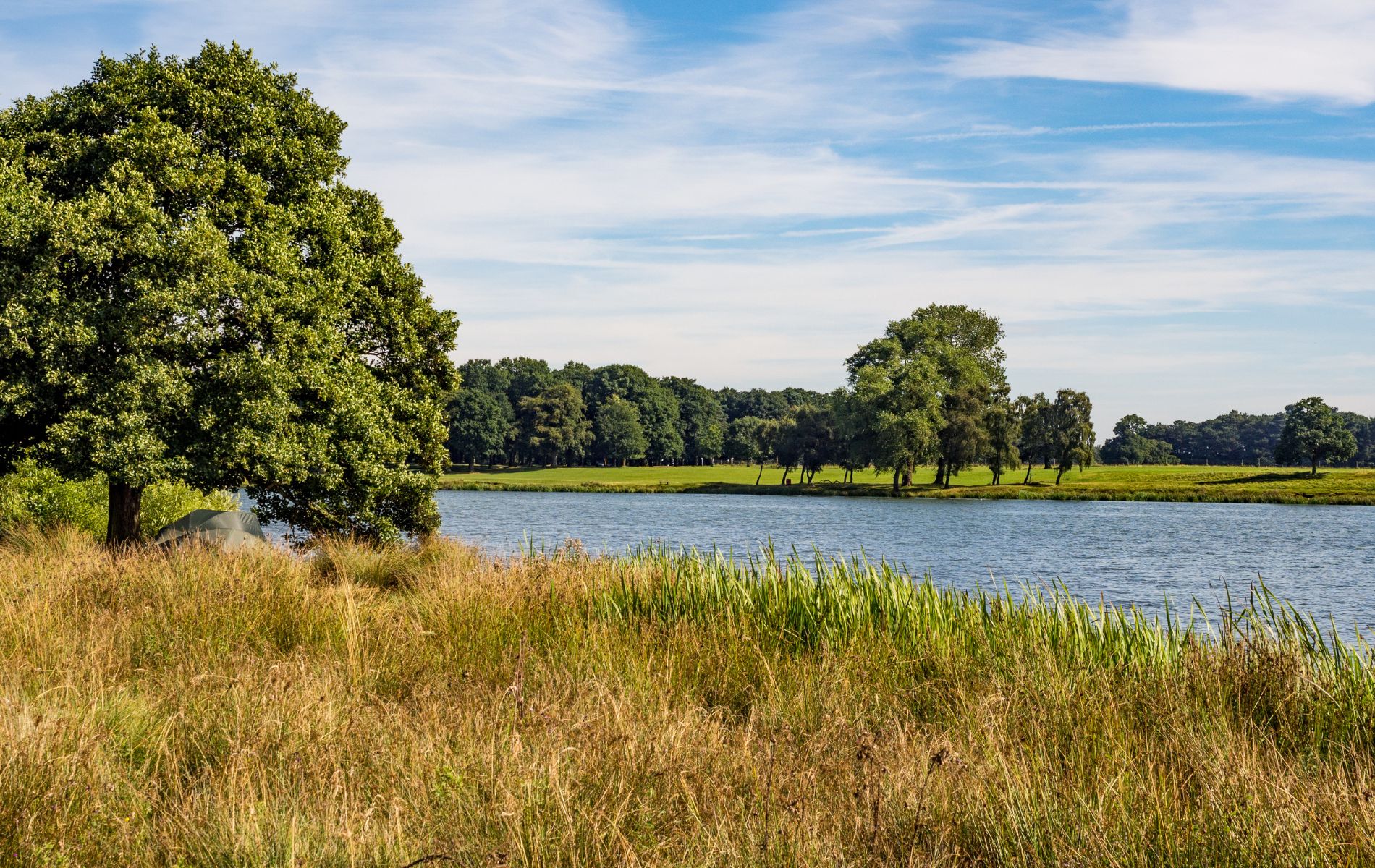 Why The Golden Triangle, Cheshire is so golden